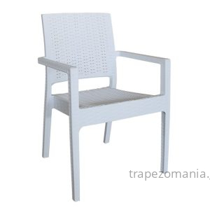 ΕΠΑΓΓΕΛΜΑΤΙΚΗ ΚΑΡΕΚΛΑ ΠΟΛΥΠΡΟΠΥΛΕΝΙΟΥ ΓΚΡΙ Ν17